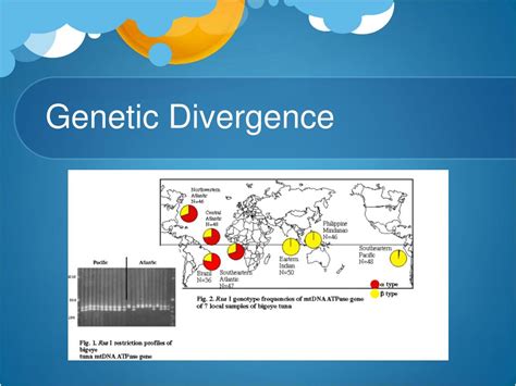 Ppt Speciation Powerpoint Presentation Free Download Id1413531