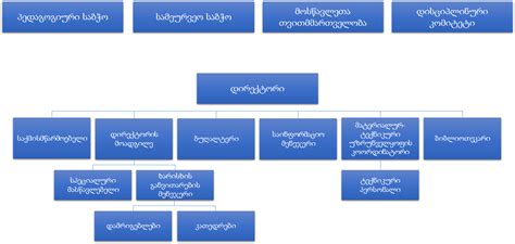 სსიპ ქალაქ თბილისის N58 საჯარო სკოლა ორგანიზაციული სტრუქტურა