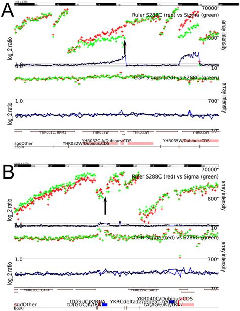 The Ruler Array Can Detect Structural Variants That Array Cgh Download Scientific Diagram