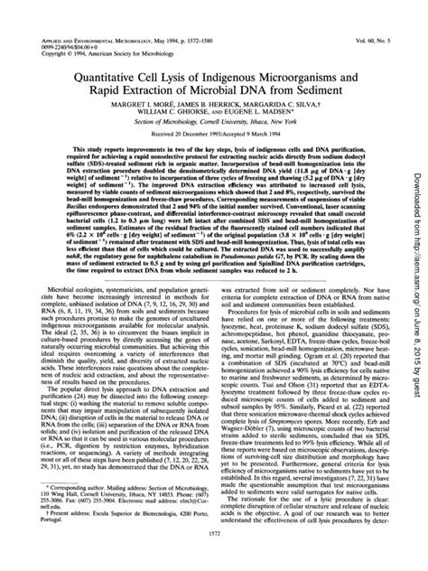 1994 Quantitative Cell Lysis Of Indigenous Microorganisms And Rapid Extraction Of Microbial
