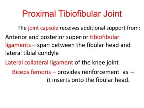 Ankle And Tibiofibular Jointpptx