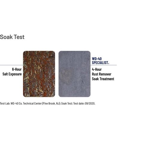 Buy Gal Rust Remover Soak Dissolves Rust Safely Biodegradable Online At Lowest Price In