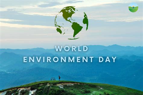 Celebrating World Environment Day 2024 Crg Texas Environmental Services