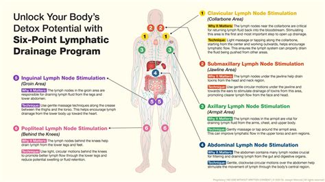 Perry Nickelston Unlocking Your Bodys Detox Potential The Crucial Role Of Lymphatics