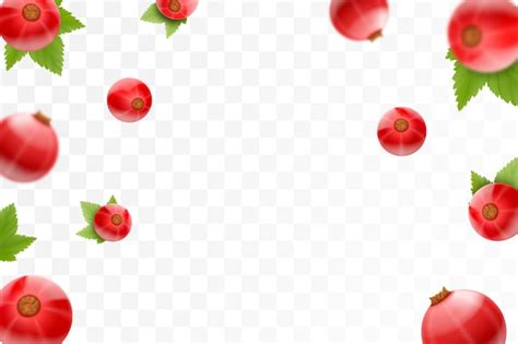 Redcurrant 배경 투명 한 배경에 녹색 잎을 가진 비행 붉은 건포도 다른 각도에서 떨어지는 건포도 집중 및 흐릿한 개체 3d 현실적인 벡터 프리미엄 벡터