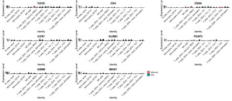 How To Structure A Vlnplot With Multiple Individual Plots Issue