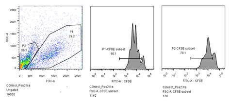 Proliferation Assay