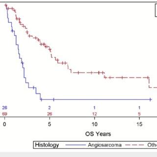 Overall Survival OS For Patients With Scalp Sarcoma By Histology With