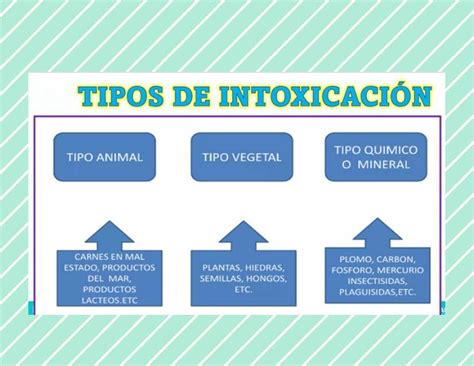 Tipos De Intoxicación Alxnsx S Udocz