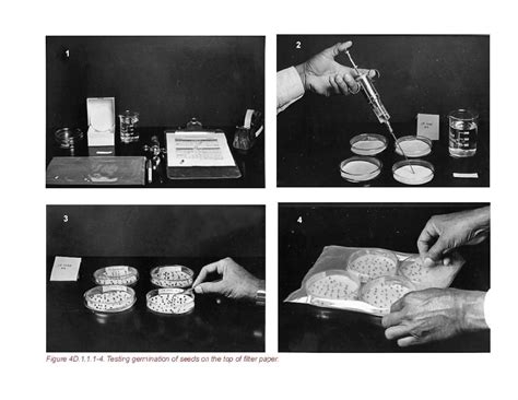 Seed Physical Purity Germination Tests PDF