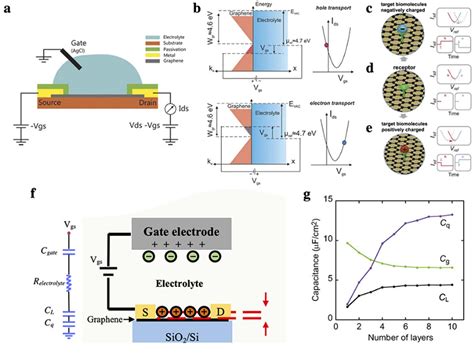 Graphene Field Effect Transistor At Susan Ball Blog Graphene Field Effect Transistor At Susan Ball Blog