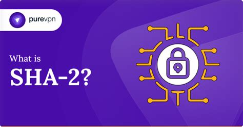 Everything You Need To Know About Sha 2