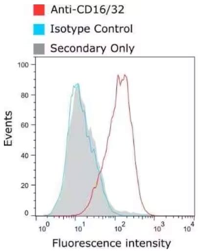 Cd16 Marker Expression In Macrophages Nk Cells And Neutrophils Cd16a