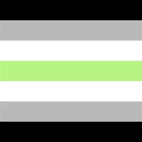 A Gender Pride Flag National Capital Flag