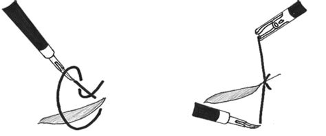 5 Autonomous Simple Knot Tying Algorithm 1 Download Scientific Diagram
