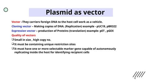 Puc19 Plasmid Cloning Vector Genetic Engineering Ppt Ppt