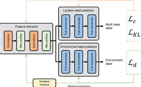 Structure Of Motif Classifier Based On Domainadversarial Learning L C Download Scientific