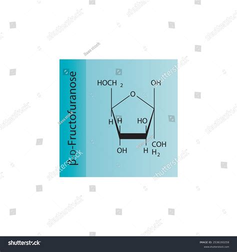 Β D Fructofuranose Skeletal Structure Diagramsugar Compound Molecule Stock Vector Royalty Free