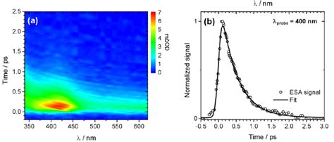 Introduction To Transient Absorption Spectroscopy Avantes