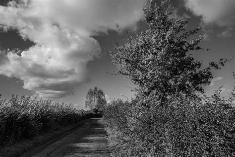 Whispy Clouds By Woodini254 Ephotozine