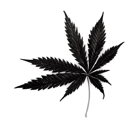 Weed Leaf Graphic · Creative Fabrica