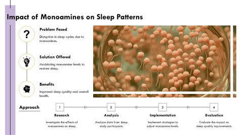 Impact Of Monoamines On Sleep Patterns Monoaminergic Neurons Ppt Template Acp Ppt Example