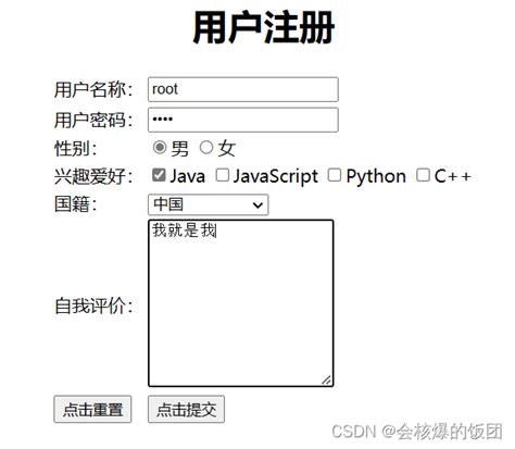 06html表单提交的细节（submit提交按钮的使用细节）html Submit Csdn博客
