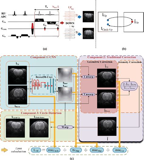 Figure From Unsupervised Cycle Consistent Network For Removing Susceptibility Artifacts In