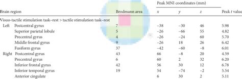 Significant Brain Activation Area Between Visuo Tactile And Tactile