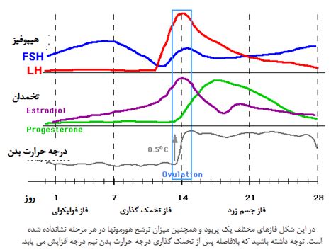 تدریس دستگاه تولیدمثل در زن زیست شناسی یازدهم تجربی کنکور آکادمی امروز
