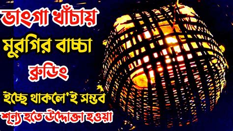 অল্প মুরগির বাচ্চা হলে কিভাবে সহজ পদ্ধতিতে ব্রুডিং করবেন Brooding Nur Bhai Youtube