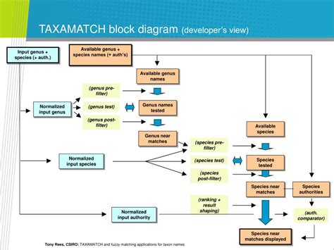 Ppt Taxamatch A Fuzzy” Matching Algorithm For Taxon Names And