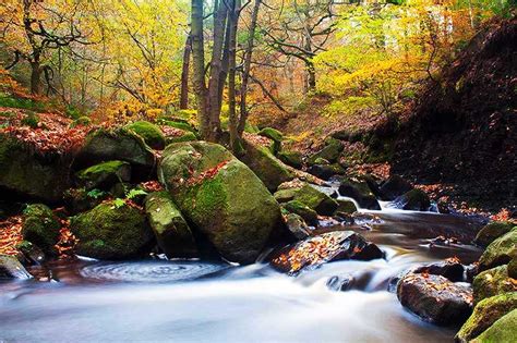 Padley Gorge Natureflip