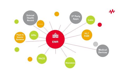 Catching Fhir Healthcare Software Interoperability Challenges