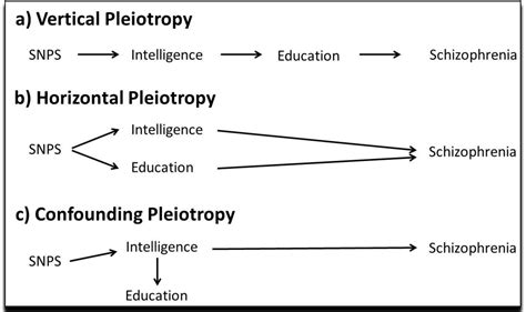 Pleiotropy