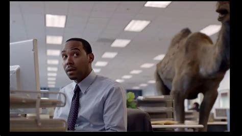 Geico Hump Day Camel Commercial Youtube