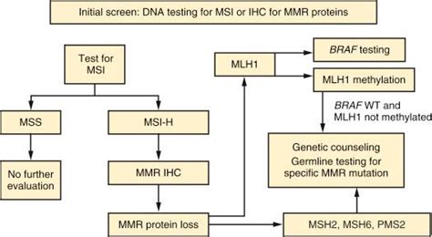 Hereditary Nonpolyposis Colorectal Cancer And Lynch Syndrome Clinical Tree