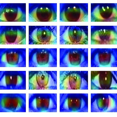 Gradcam Visualization For The Proposed Detector From Top To Bottom