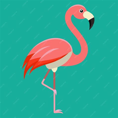 Flamingo Bird Clip Art Vector Illustration Design Premium Ai