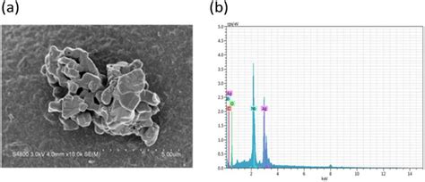 A Sem Image And B Eds Spectrum Of The As Prepared Agnbo 3 Download Scientific Diagram