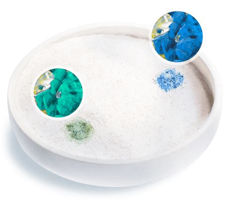 Why Prettylitter Prettylitter Health Monitoring Litter