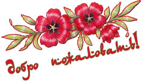 Анимашки Добро пожаловать