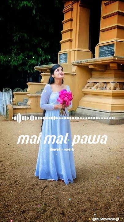 Mai Mal Pawa මැයි මල් පවා Manoparakata Sindu Viralsong Slowedandreverb Youtube
