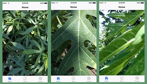 How To Create Autoplay Slides Using Ionic 2 Ionic App Framework Development