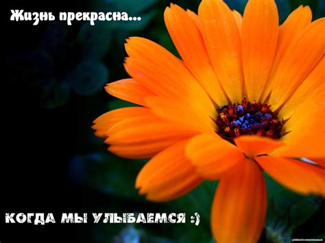 Фото С Надписью Очень — Фото