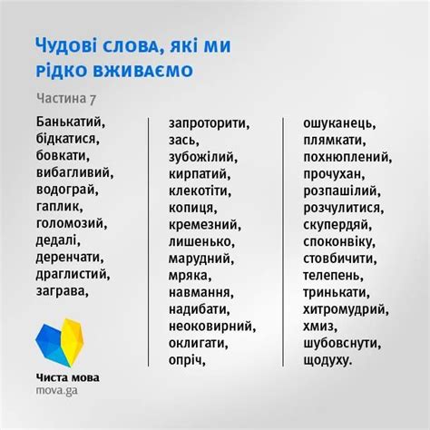 Нова добірка смачних слів українською мовою