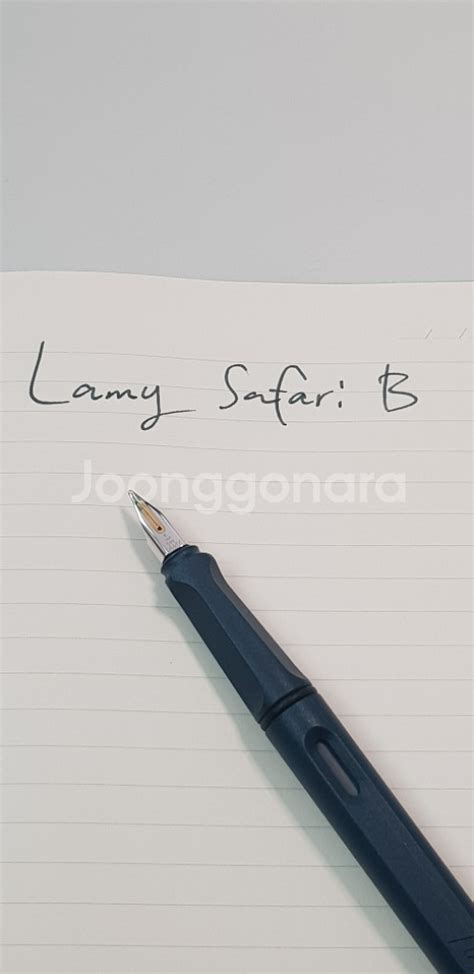 라미 사파리 스페셜 에디션 페트롤 골드닙 금펜촉 B촉 문구 사무용품 중고나라