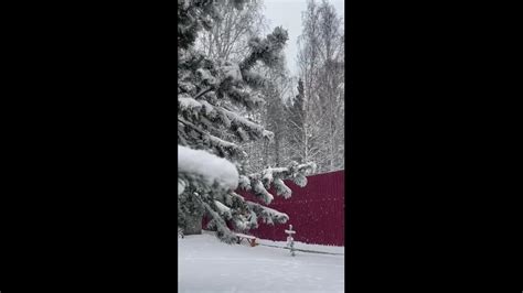 31 01 Терапевтическая банька это не просто банька где происходит расслабление также идеи