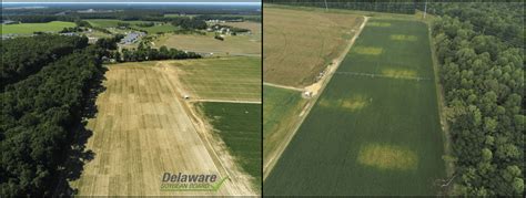Soybean Yield Response To Planting Populations Row Spacing And