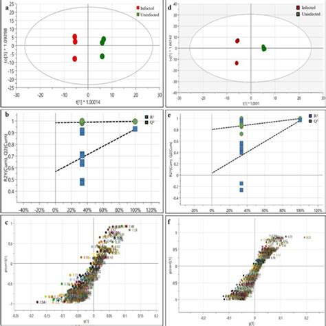 Opls Da Score Plot Statistical Validation By Permutation Analysis And